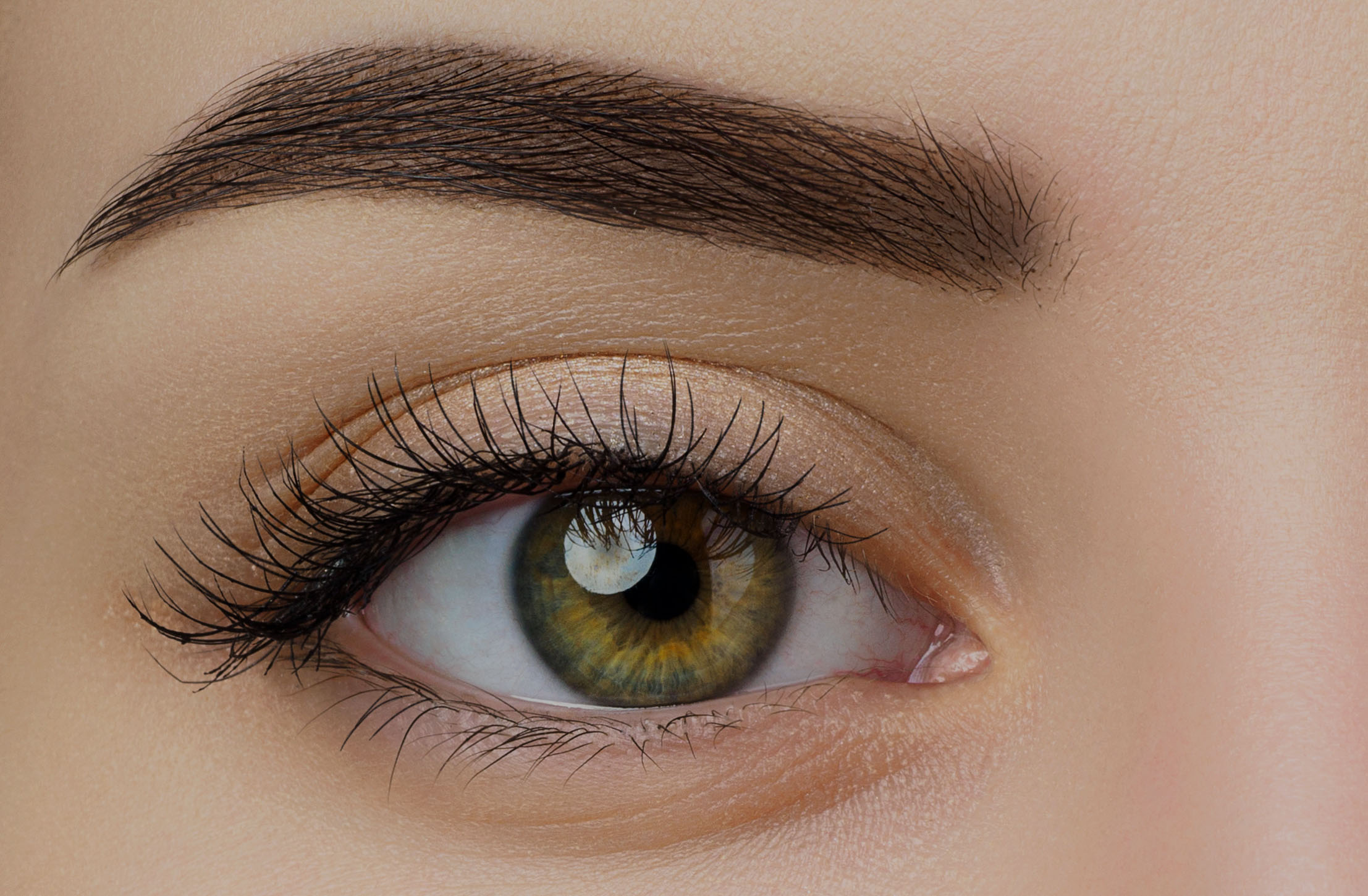 Eyelash Transplantation | Oculoplastic in Chicago, IL | Ocula Plastics